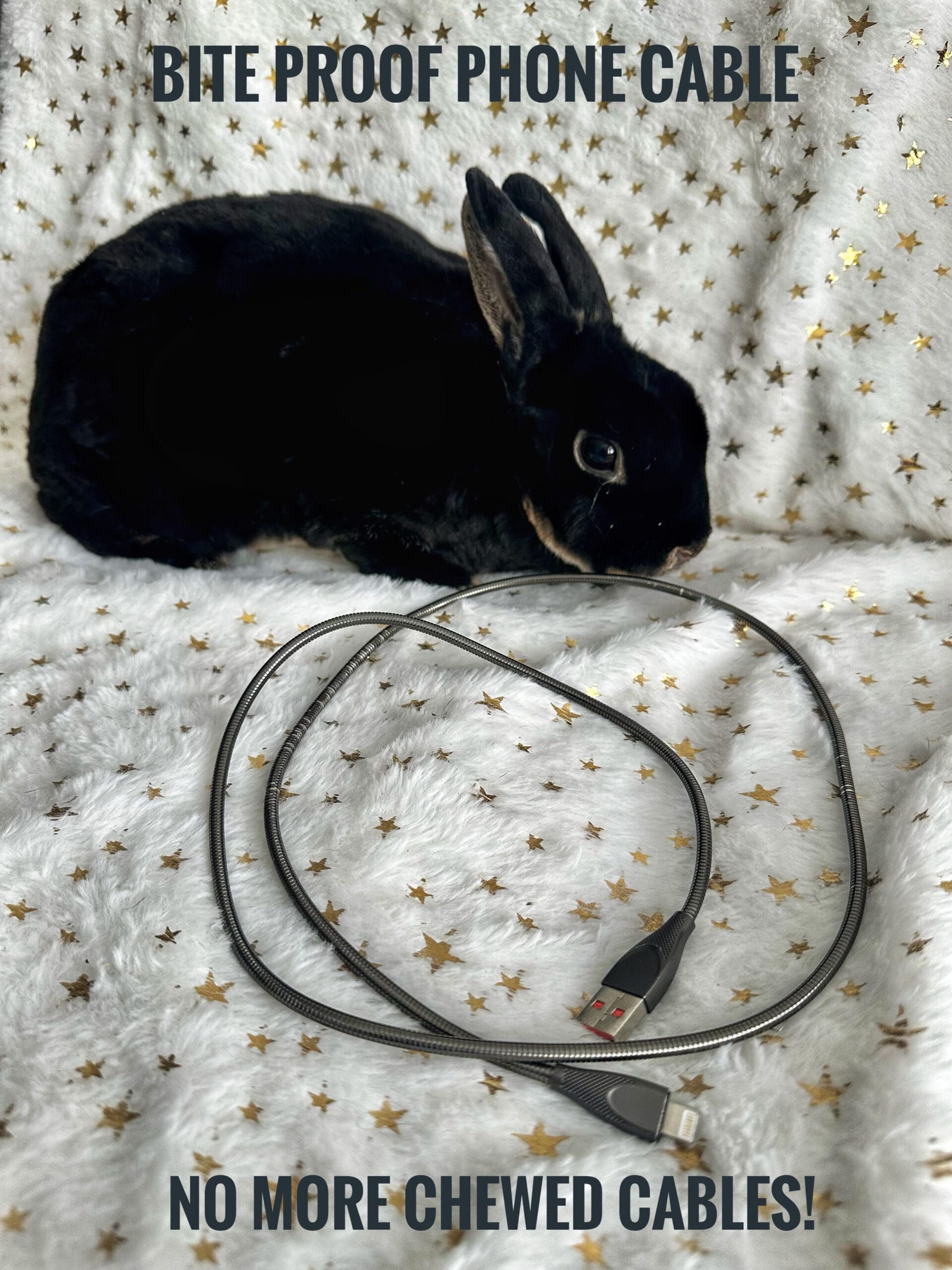 Bite-Resistance Stainless Steel Fast Charging Bunny Proof Cable.