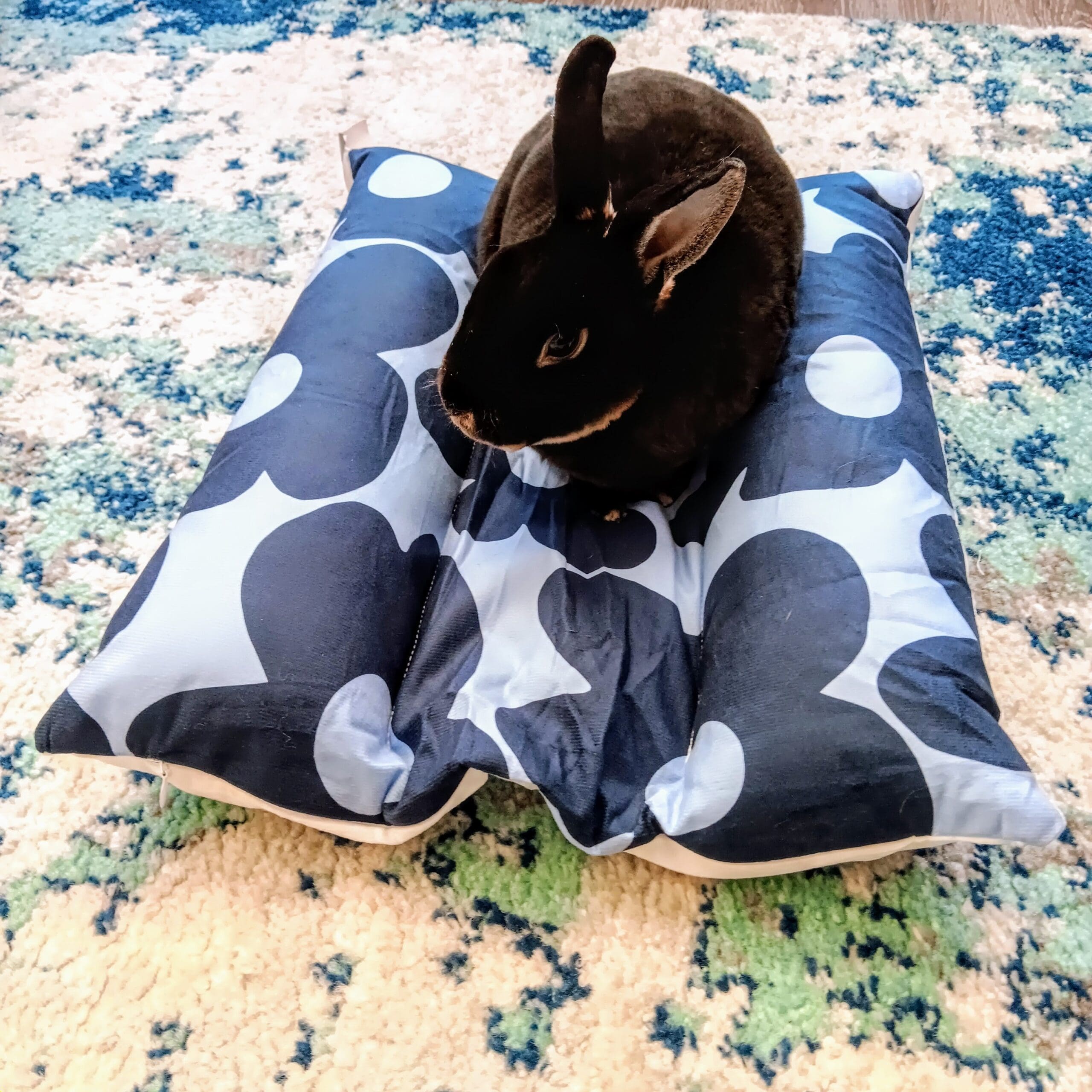 Snuggle Bed, Cuddle Pillow for Rabbit. Comes with Ice Tray Pocket